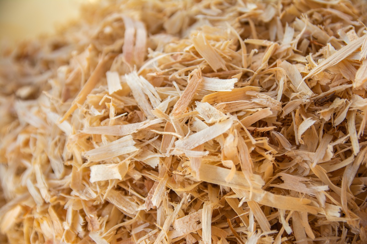 Composting Used Shavings. - Bedmax Shavings - Equine bedding made ...