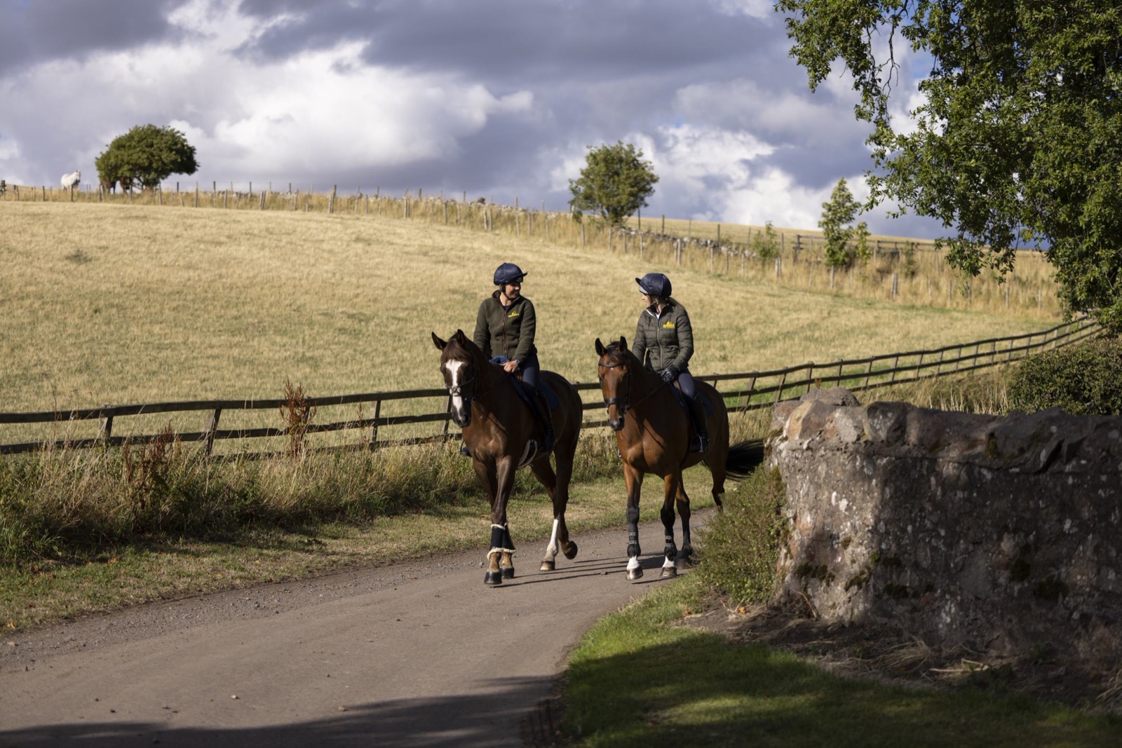 Horse Health - Bedmax Shavings - Equine bedding made specially for horses.
