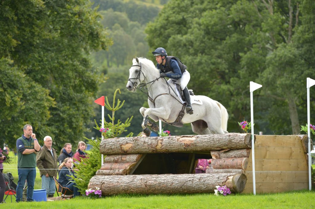 Bedmax at the UK’s Premier Events - 2025 Season - Bedmax Shavings ...